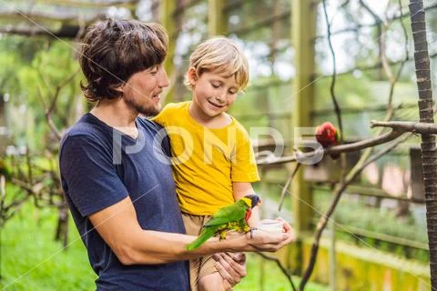 Dad and son feed the parrot in the park. Spending time with kids ...
