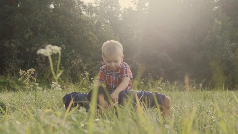 Video Ups Stock Videos – Royalty-Free HD & 4K Videos