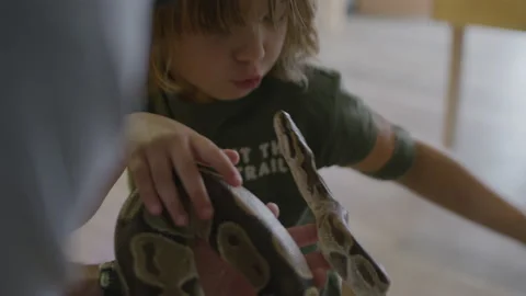 A Dad Holding a Snake While His Son Play... | Stock Video | Pond5