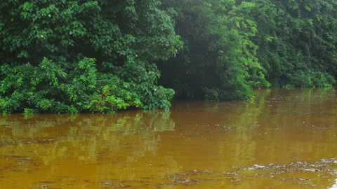 Daily Video Stream Stock Videos – Royalty-Free HD & 4K Videos | Pond5