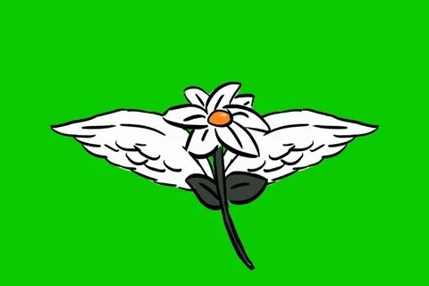 Daisy - animation - wings - green screen... | Stock Video | Pond5