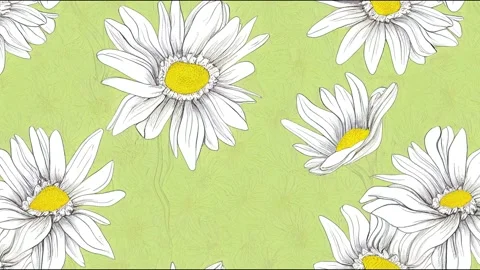 daisy seamless animation 2d illustrated ... | Stock Video | Pond5