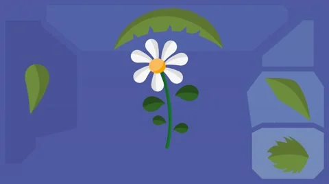 daisy - Vector Graphics - Food Animatio... | Stock Video | Pond5