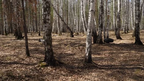 Sunset Park Fire Stock Videos – Royalty-Free HD & 4K Videos | Page 6