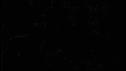 Longterm Effect Stock Videos – Royalty-Free HD & 4K Videos