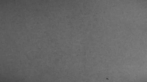 Longterm Effect Stock Videos – Royalty-Free HD & 4K Videos