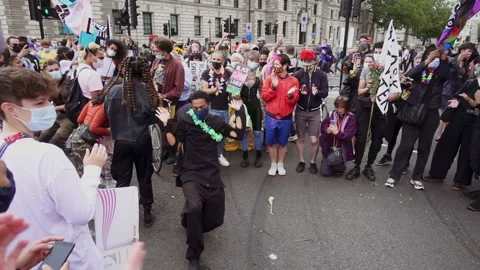 Trans See Stock Videos – Royalty-Free HD & 4K Videos