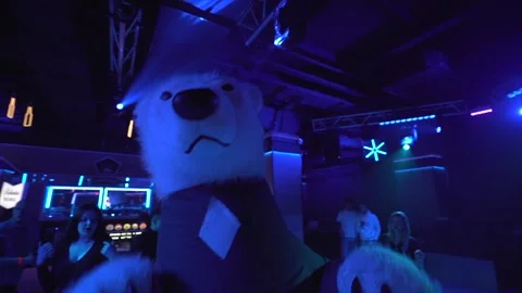 A Dancing Dancing A Bear Stock Footage ~ Royalty Free Stock Videos | Pond5