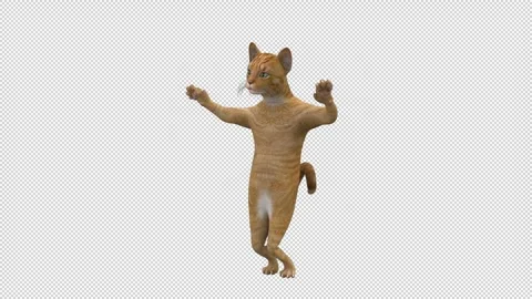 Dancing Cat - 3d render looped with alph... | Stock Video | Pond5
