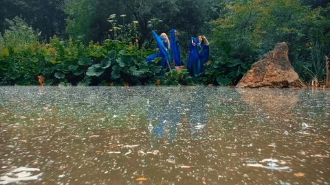 Swamp Girl Stock Footage ~ Royalty Free Stock Videos | Pond5