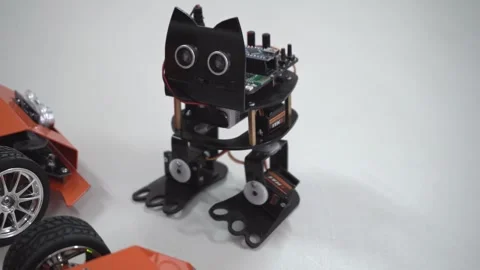 Kids Diy Dancing Stock Videos – Royalty-Free HD & 4K Videos | Pond5