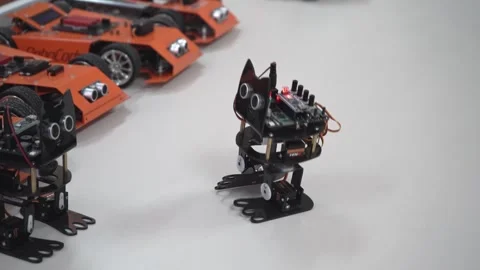 Kids Diy Dancing Stock Videos – Royalty-Free HD & 4K Videos | Pond5