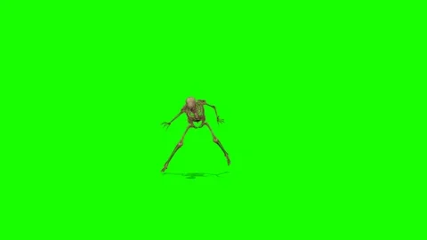 Dancing skeletons on a green screen back... | Stock Video | Pond5