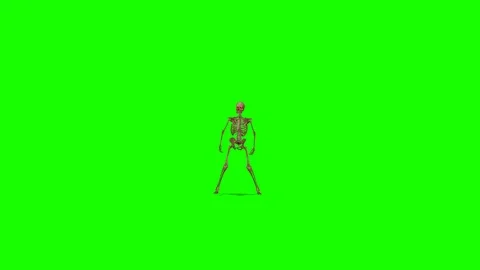 Dancing skeletons on a green screen back... | Stock Video | Pond5