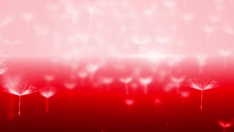 Dandelion red abstract artistic backgrou... | Stock Video | Pond5