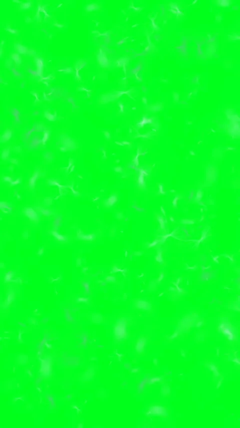 Dandelion Green Screen Stock Video Footage | Royalty Free Dandelion Green Screen Videos | Pond5