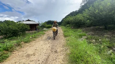 Road Riding Stock Videos – Royalty-Free HD & 4K Videos