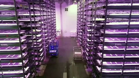 Danish vertical farm sees growth for sus... | Stock Video | Pond5