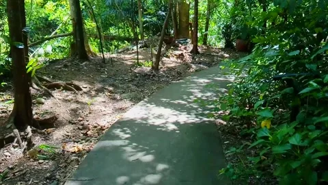 Daranak waterfalls in Tanay, Rizal, Phil... | Stock Video | Pond5