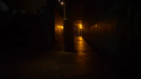 Ally Stock Footage ~ Royalty Free Stock Videos | Pond5