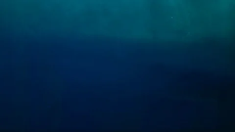 Dark blue powder in liquid with bubbles.... | Stock Video | Pond5