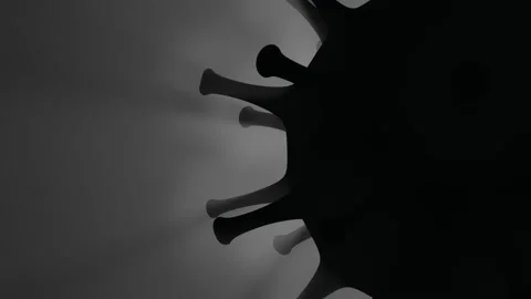 Deadly Pathogens T Stock Videos – Royalty-Free HD & 4K Videos