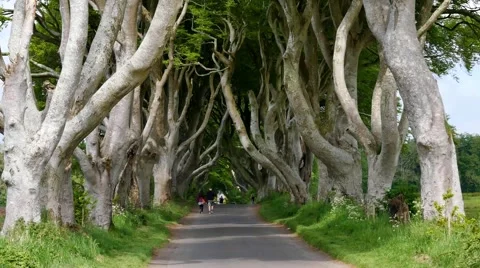 Dark Tourist Tv Stock Videos – Royalty-Free HD & 4K Videos | Pond5