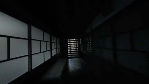Dark Japanese house passage. Japanese ho... | Stock Video | Pond5
