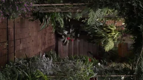 A dark, narrow path with a wrought iron ... | Stock Video | Pond5