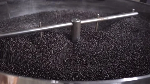 Female Roaster Stock Videos – Royalty-Free HD & 4K Videos | Pond5