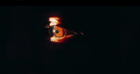 Dark room, eye and exam for vision, opht... | Stock Video | Pond5