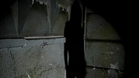 dark shadow silhouette of sexy slender w... | Stock Video | Pond5