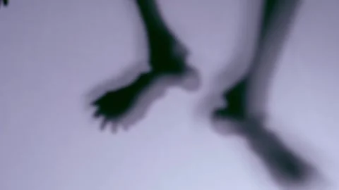 Dark skeleton ghost shadow legs and feet... | Stock Video | Pond5