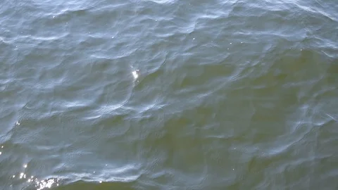 Dark water waves with sun highlights top... | Stock Video | Pond5
