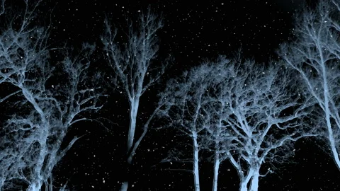 Dark Winter Night Background Loop | Stock Video | Pond5