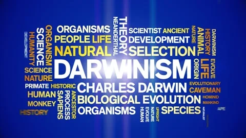 Charles Darwin Animation Stock Videos – Royalty-Free HD & 4K Videos