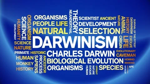 Darwinism animated word cloud,animation ... | Stock Video | Pond5