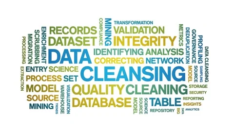 Data Cleansing animated word cloud,anima... | Stock Video | Pond5