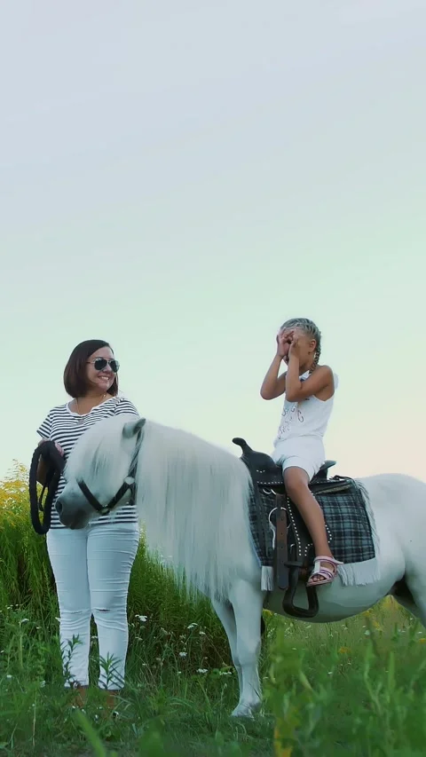 Riding Bridle Stock Videos – Royalty-Free HD & 4K Videos | Pond5