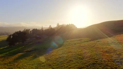 Summer Sun Stock Footage ~ Royalty Free Stock Videos | Pond5