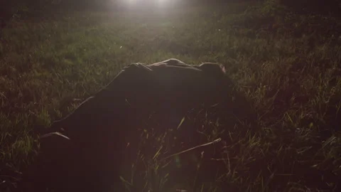 Dead Body Slumped over in the Grass at a... | Stock Video | Pond5