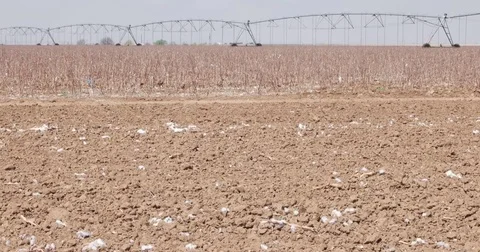 Texas Sprinklers Stock Videos – Royalty-Free HD & 4K Videos