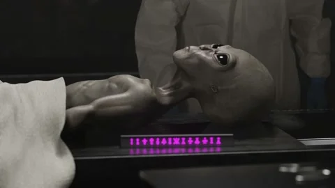 Dead extraterrestrial alien covered by a... | Stock Video | Pond5