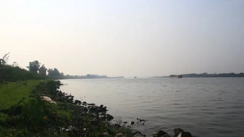 dead fish in the river with maggots and ... | Stock Video | Pond5