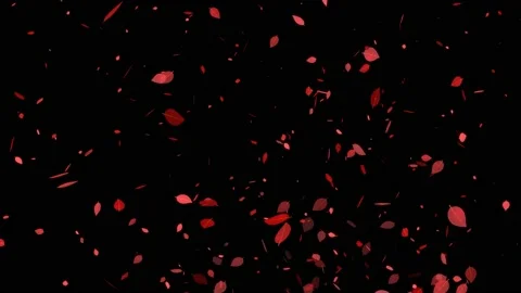 Dead leaves red leaves particles that em... | Stock Video | Pond5
