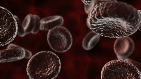 Dead red blood cells in an artery | Stock Video | Pond5
