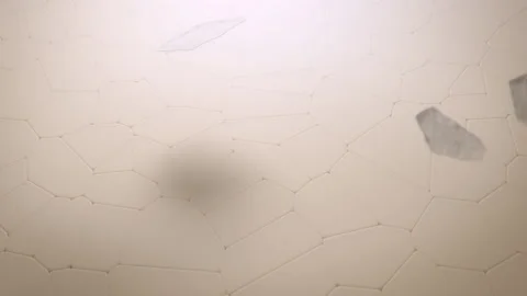 Dead Skin Cells Stock Video Footage | Royalty Free Dead Skin Cells ...