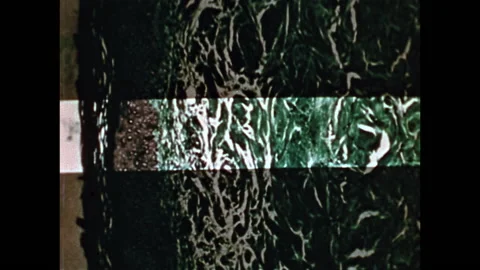 Dead Tissue Stock Video Footage | Royalty Free Dead Tissue Videos | Pond5