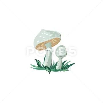 Death cap mushrooms vector illustration in flat cartoon style.: Royalty ...