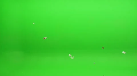 Debris Stock Footage ~ Royalty Free Stock Videos | Pond5